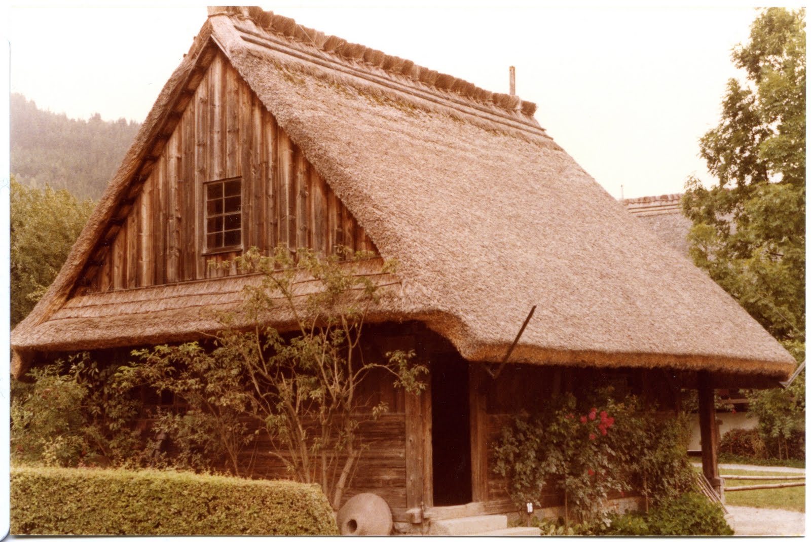 Mother of Israel's Eternal Images: German Thatch, Aspen Church, and ...